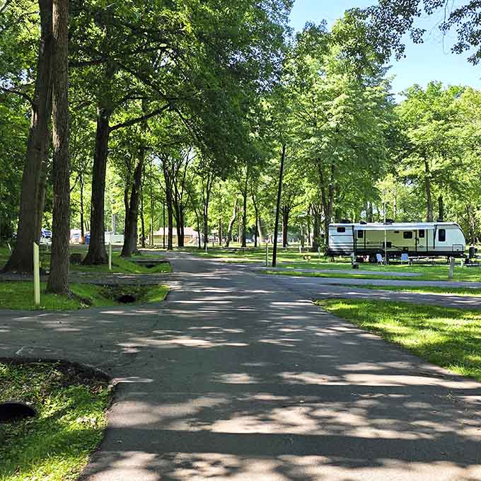 The campground roads wind through trees like a choose-your-own-adventure book, but every choice is excellent.