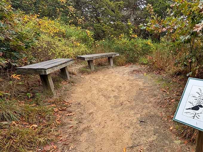 Simple benches invite you to pause and contemplate why you don't do this more often.