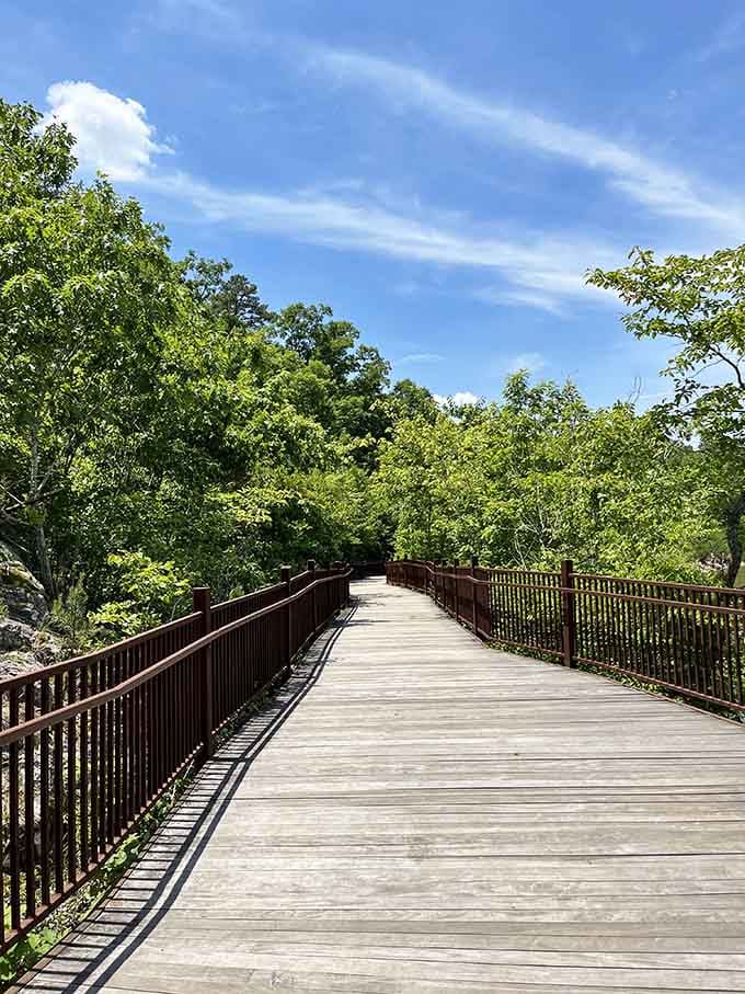 Wooden boardwalks provide accessible views for everyone to enjoy this natural spectacle without scrambling over rocks.