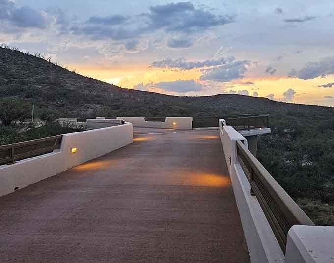 Evening walks along this path offer desert sunsets that make you forget about whatever's stressing you out.