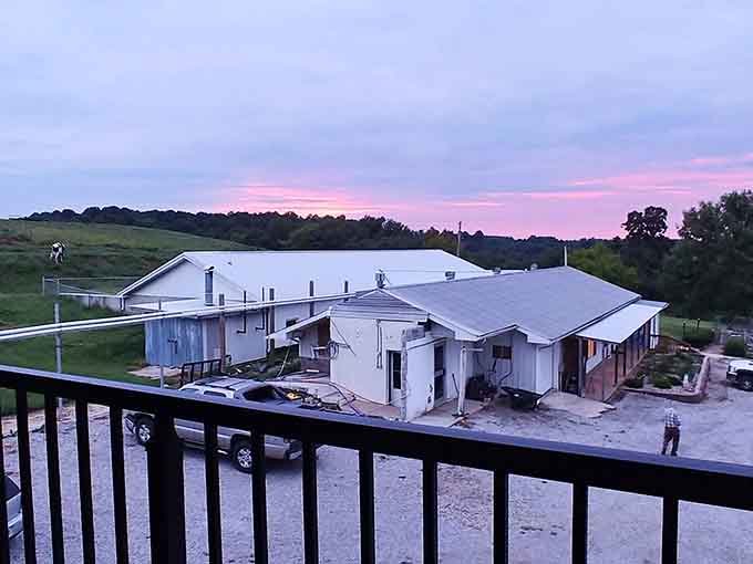 The view from the balcony overlooks working farm buildings where actual food production happens, not just Instagram opportunities.