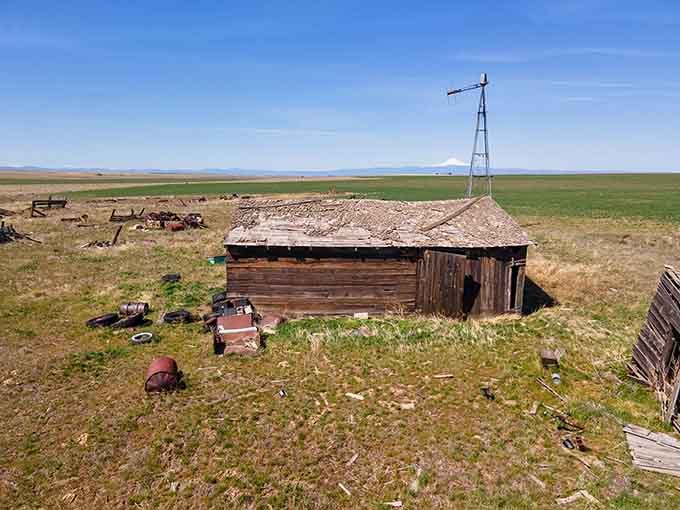 This little homestead is slowly sinking back into the earth, one board at a time, no rush.
