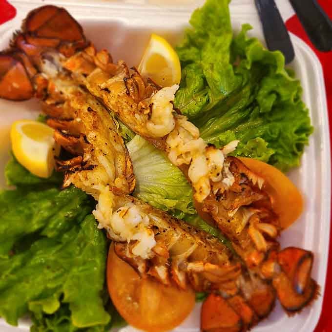 Grilled lobster tails nestled on fresh lettuce, looking like they just arrived from a New England pier party.