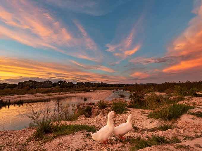 Sunset paints the sky while the river reflects the show, nature's own double feature playing nightly.