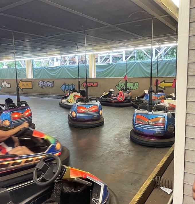 Bumper cars remain the perfect way to settle family disputes while laughing hysterically at everyone's driving skills.