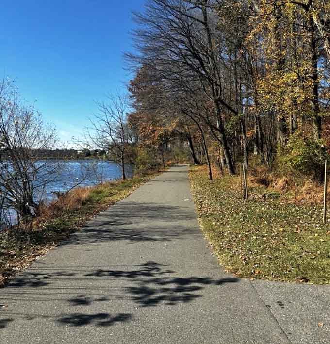 This smooth, leaf-scattered path practically begs you to take the scenic route around pure tranquility.