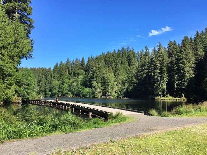 That footbridge stretching across the lake practically begs you to take the scenic route to everywhere.