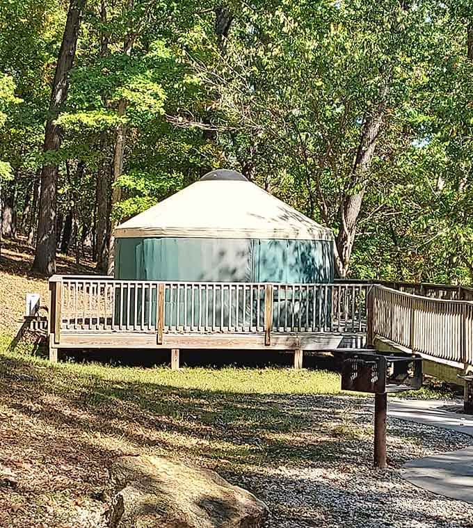 Glamping at its finest, where you can pretend you're roughing it while staying surprisingly cozy inside.