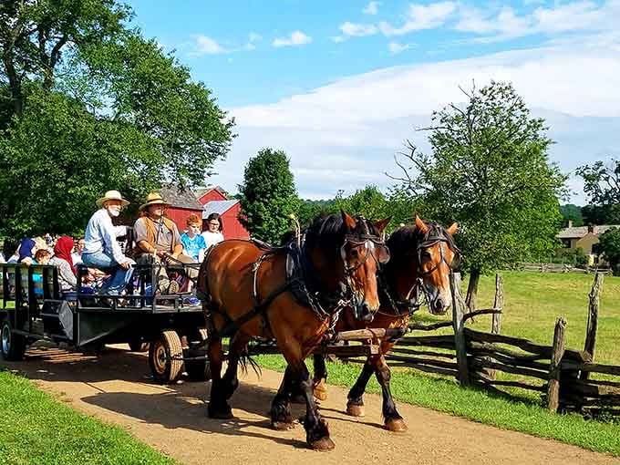 Horse-drawn wagon rides through the countryside remind you that life existed before smartphones, and it was pretty wonderful.