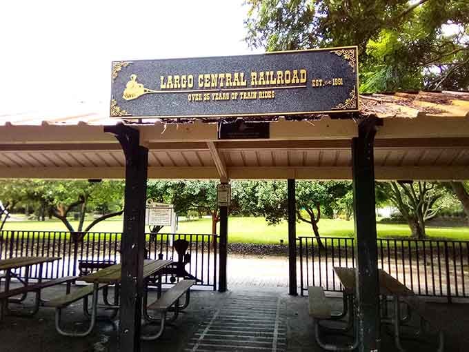 This charming station pavilion welcomes visitors with shade and the promise of railway adventures that cost less than lunch.