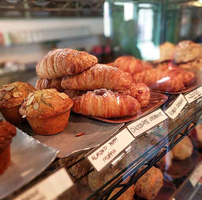 The pastry case at Lazy Jane's: where croissants and muffins live their best lives before becoming your breakfast.