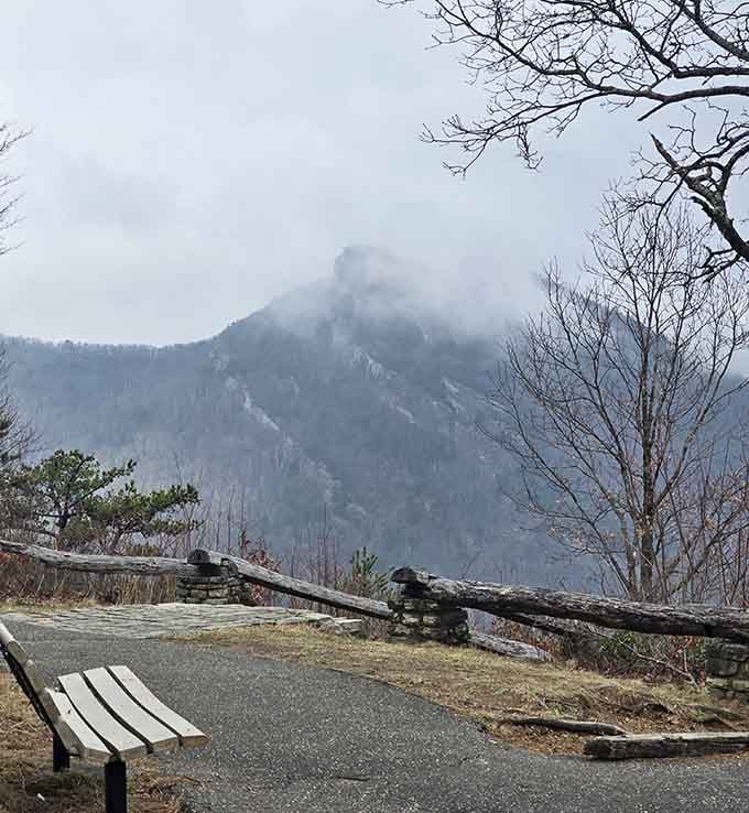 Misty mornings at the gorge create an atmosphere so moody, even your coffee tastes more contemplative here.