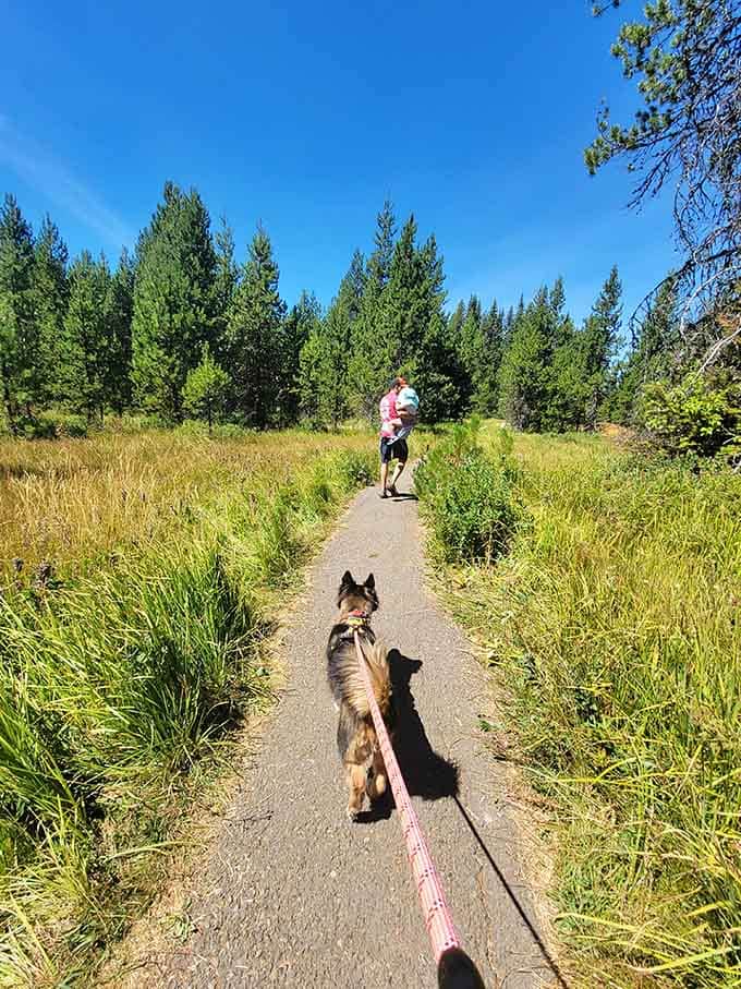 Even your four-legged friends can enjoy the easy stroll through meadows leading to Oregon's bluest hidden treasure.