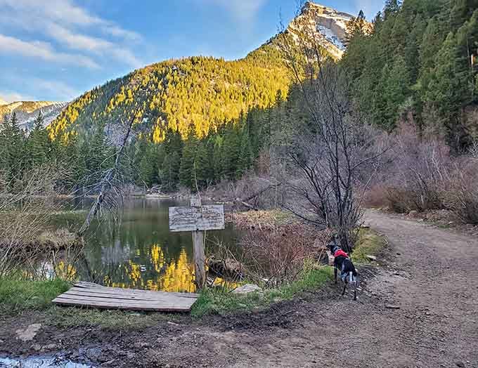 Fall colors reflecting on still water while your best friend waits patiently. This is peak Colorado living right here.