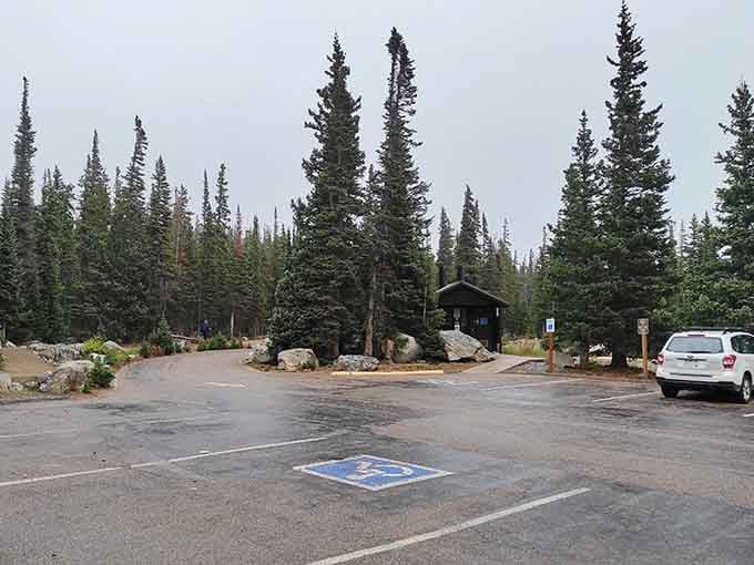The trailhead parking lot: where your adventure begins and your excuses for skipping leg day end.