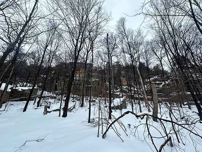 Winter transforms the rock formations into a frosted wonderland where ancient stone meets seasonal magic in perfect harmony.