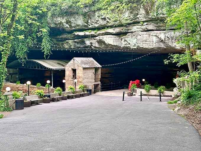 The cave entrance beckons visitors into darkness, promising adventures that'll make great dinner party stories later.