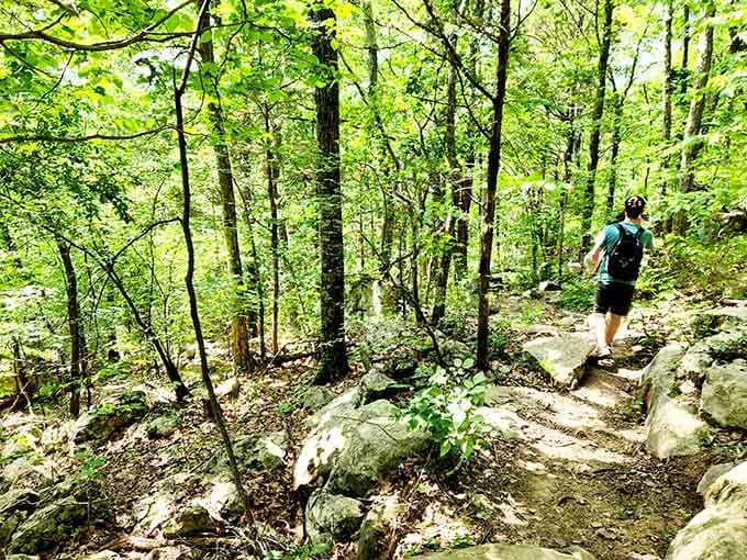 Rocky terrain and tree roots create nature's obstacle course, proving adventure requires proper footwear and determination.
