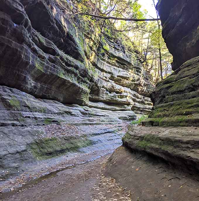 These ancient sandstone walls in the canyon have been standing here longer than anyone's been arguing about politics.