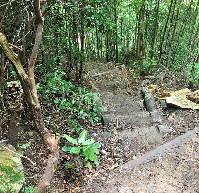 The trail winds through forests that make you forget your phone exists, assuming you had service anyway.