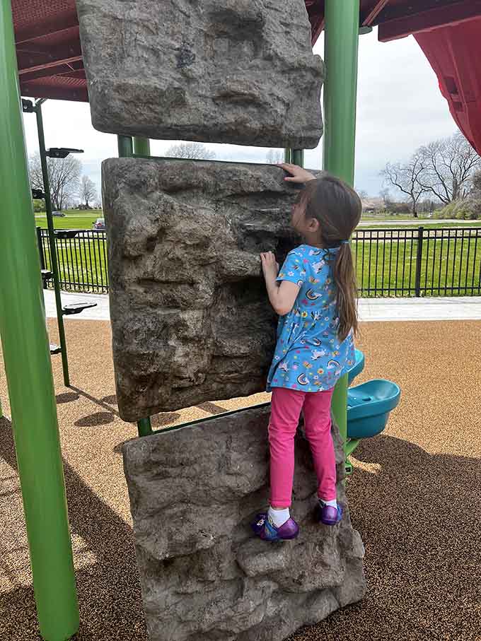 The climbing rock wall offers textured handholds for kids building strength, confidence, and impressive playground bragging rights.