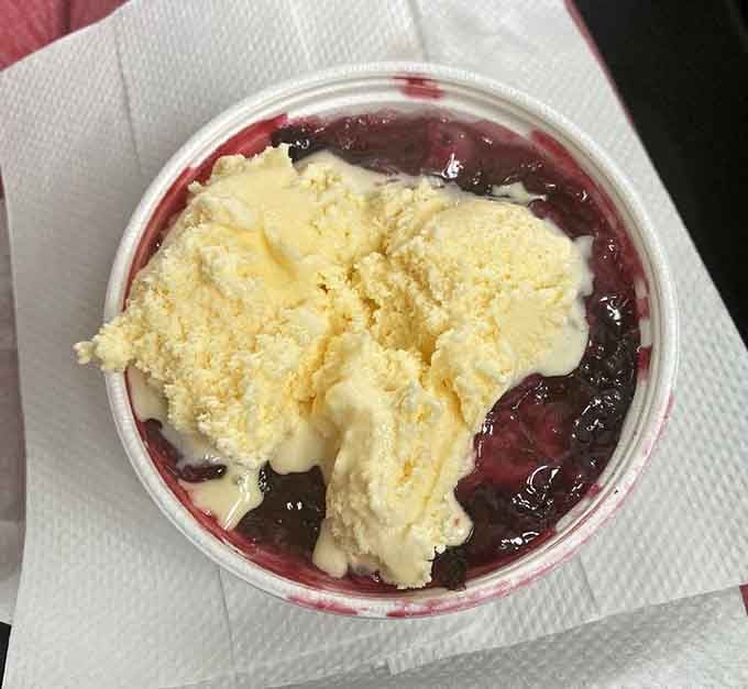 Blueberry cobbler topped with vanilla ice cream: proof that some desserts don't need fancy plating to be absolutely perfect.