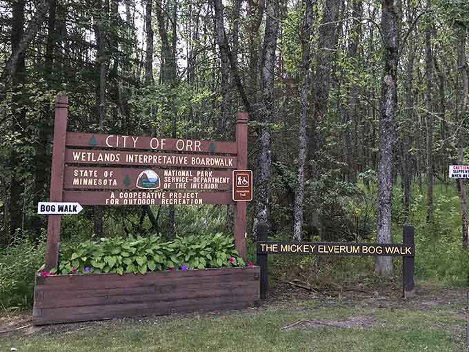 This welcoming sign marks your gateway to wetland wonders, where adventure begins just beyond the trailhead.