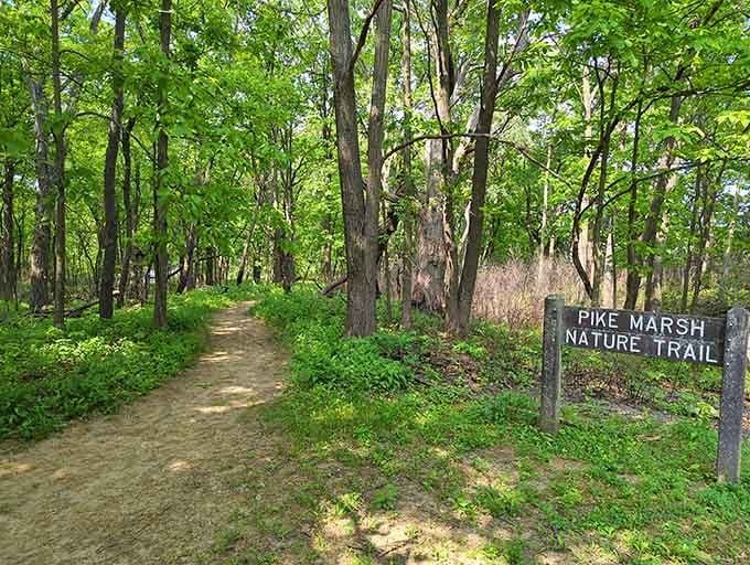 Pike Marsh Nature Trail beckons you into the woods where the only traffic jam involves deer crossing paths.
