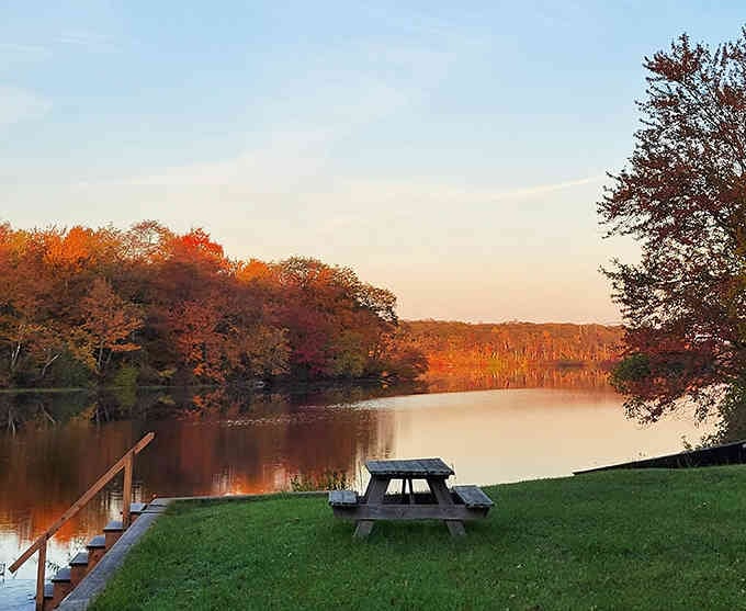 Golden hour at the pond turns everything magical, perfect for contemplating life's big questions or just relaxing.