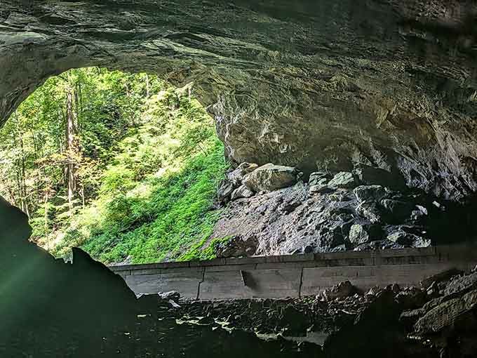 Looking out from inside feels like peeking through a window into prehistoric times.
