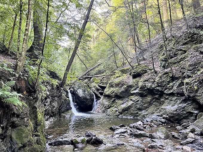 Hidden waterfalls tumble over ancient rocks in Naugatuck State Forest, offering front-row seats to nature's eternal performance absolutely free.