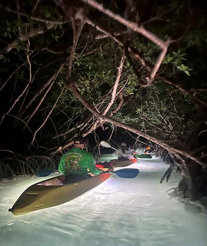 Paddling through nature's cathedral gets infinitely cooler when the walls glow green and the ceiling sparkles with stars.