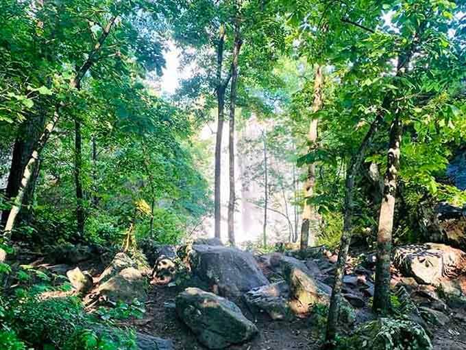The trail winds through the gorge like a choose-your-own-adventure book, except every choice leads somewhere beautiful.