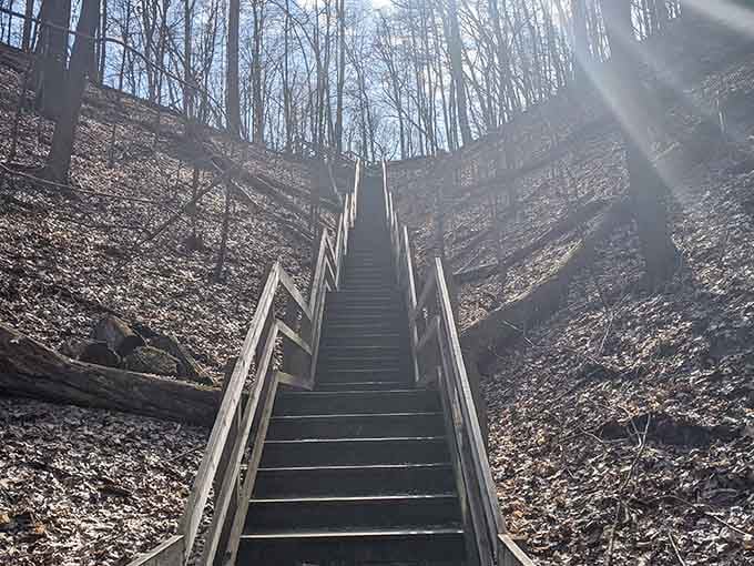 These stairs are your gateway to Lake Michigan, though your calves might have opinions about the climb back.