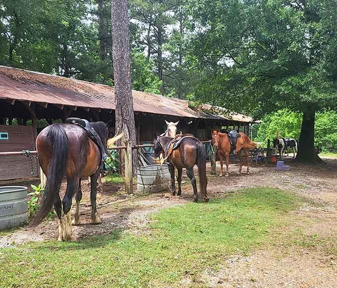 The equestrian area lets horses enjoy the trails while their riders pretend they're in an old Western movie.