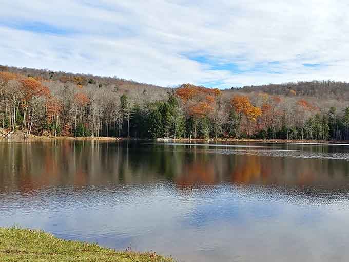 The lake becomes a canvas where trees paint their autumn masterpiece twice, once above and once below.