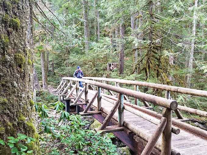 A rustic bridge that's seen more hikers than your gym has seen in the past decade combined.