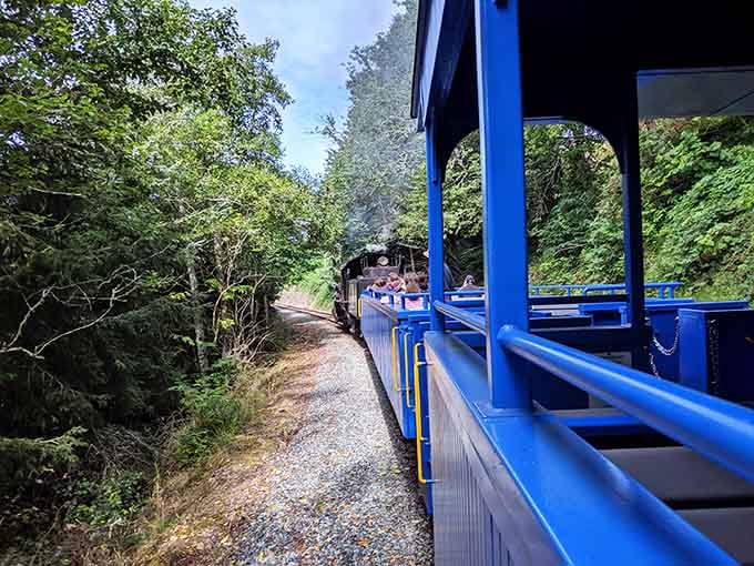 The open-air car offers unfiltered coastal breezes and the kind of freedom that makes you feel like a kid.