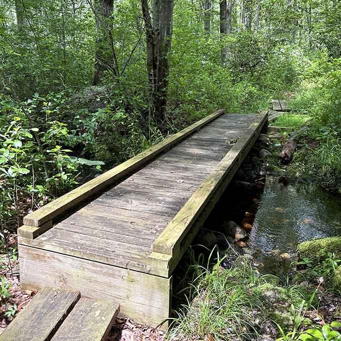 Simple wooden bridges over quiet streams remind you that sometimes the best infrastructure is the kind that just gets out of nature's way.