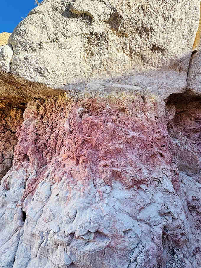 Pink and white layers stacked like a geological Neapolitan ice cream that took 55 million years to properly set and chill.