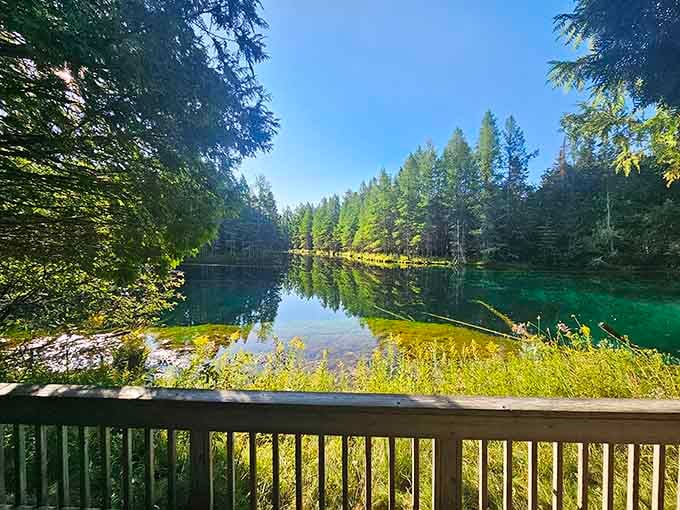 Railings frame the spring like nature's own picture window, offering front-row seats to geological wonder.