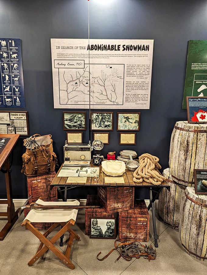 Vintage investigation tools and mysterious artifacts fill display cases like a paranormal researcher's treasure trove.