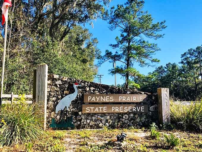 The sign that proves you're not hallucinating&mdash;there really are bison in Florida, and they're spectacular.