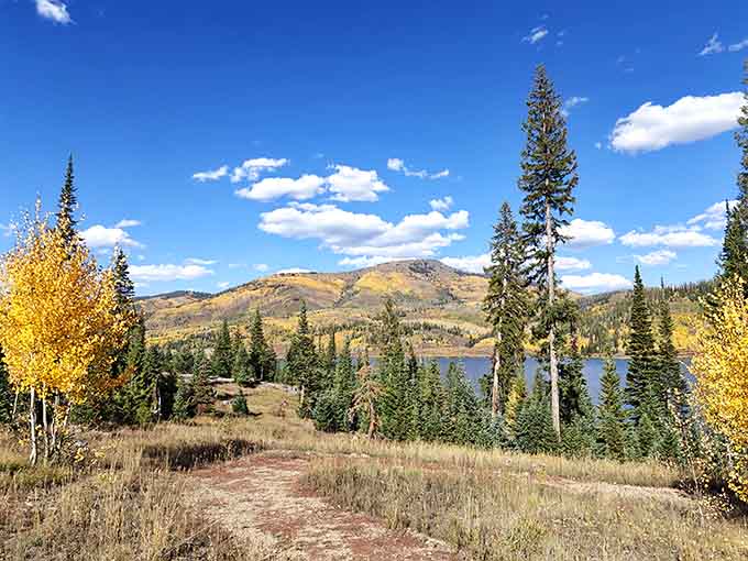 The trail that promises adventure without requiring a sherpa, oxygen tank, or questionable life insurance policy.