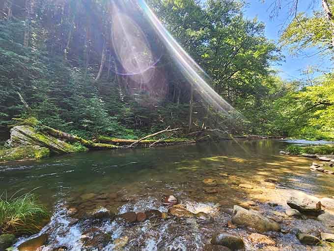 Sunbeams dancing on crystal-clear water create a light show that no Vegas production could ever replicate.