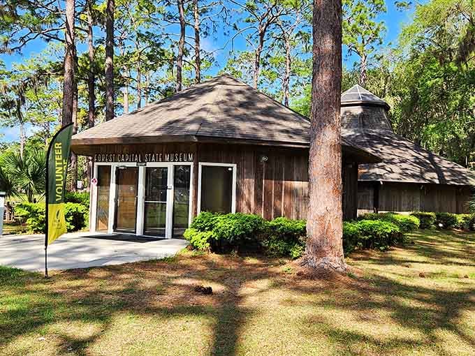 Forest Capital Museum State Park celebrates Florida's timber heritage with trails that don't require expensive gym memberships afterward.