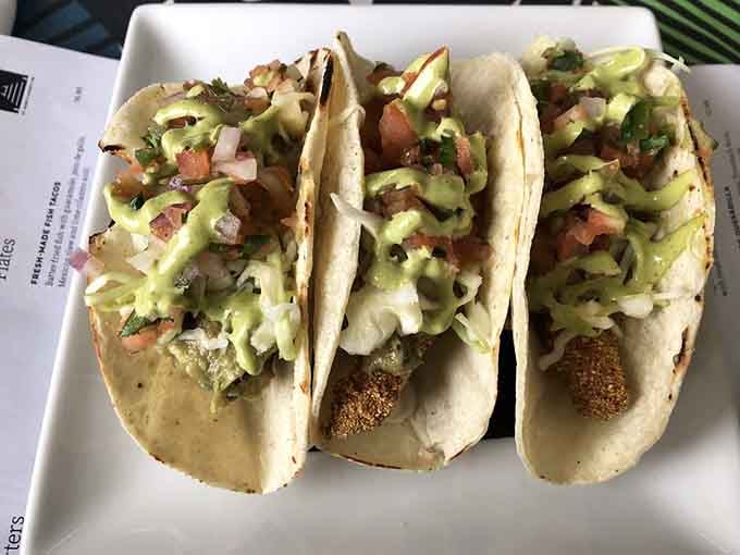 Three perfectly stuffed tacos lined up like edible soldiers ready to conquer your hunger with style and flavor.