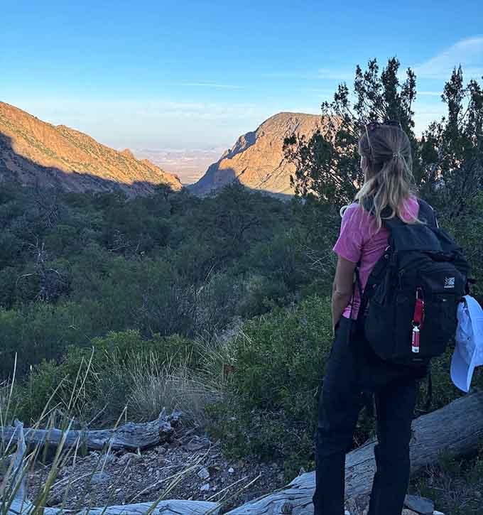 Early morning or late afternoon light transforms the Chisos Mountains into something straight out of a Western film.