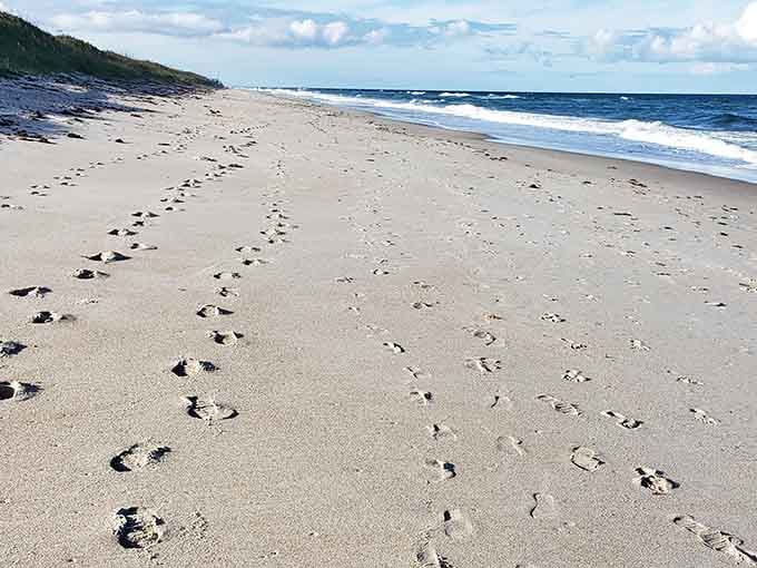 Fresh footprints in untouched sand tell the story of a beach that still feels like a discovery.