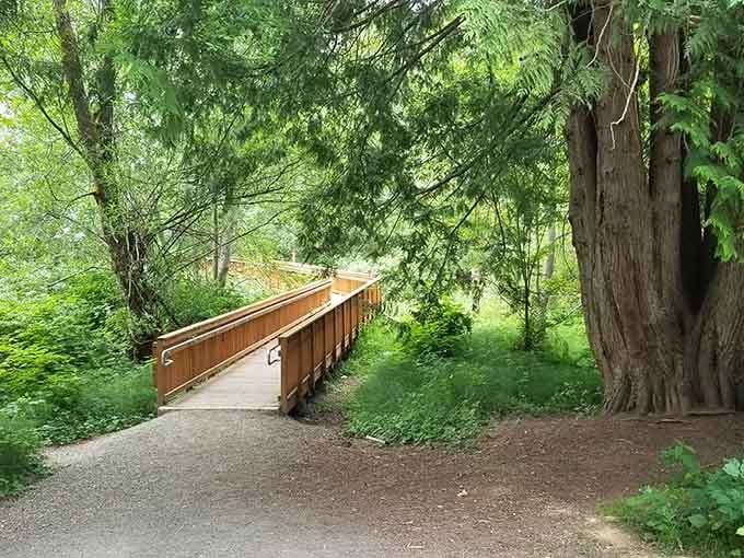 Fish Park's walking trails wind through nature like a peaceful escape from reality, minus the airfare.